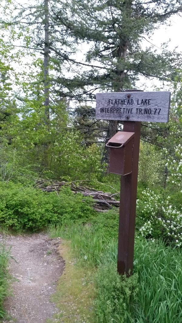 Hikes in Northwest Montana - Hiking around Flathead Lake